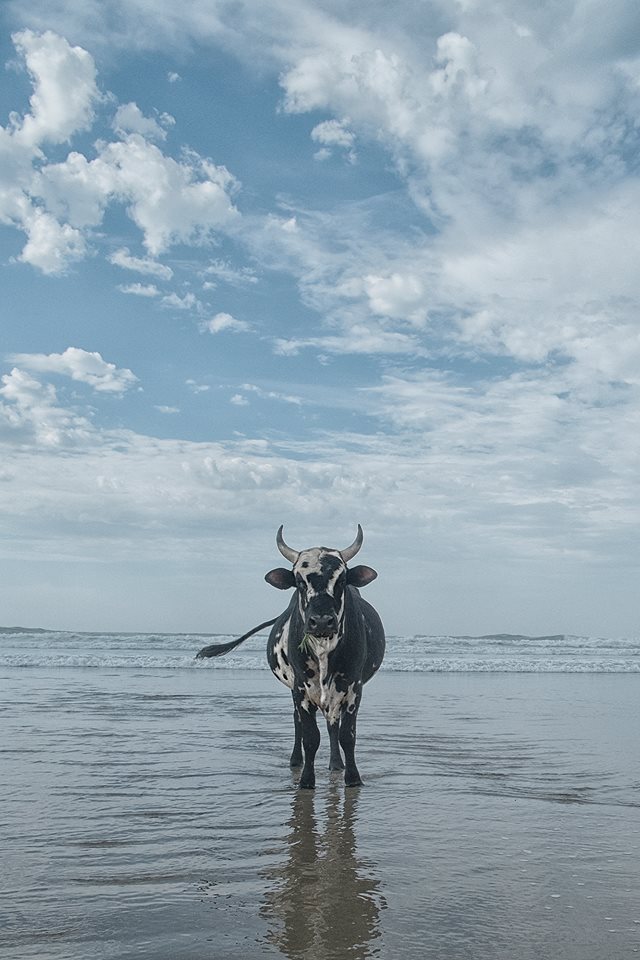 Holy Cow! Amazing Amapondo Photos make it to New York, New York! - SA ...