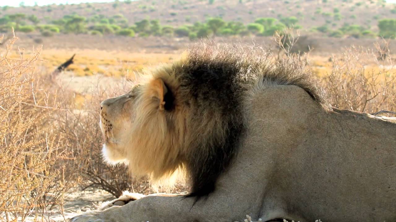 South African Adverts take Silver & Bronze at International Competition ...