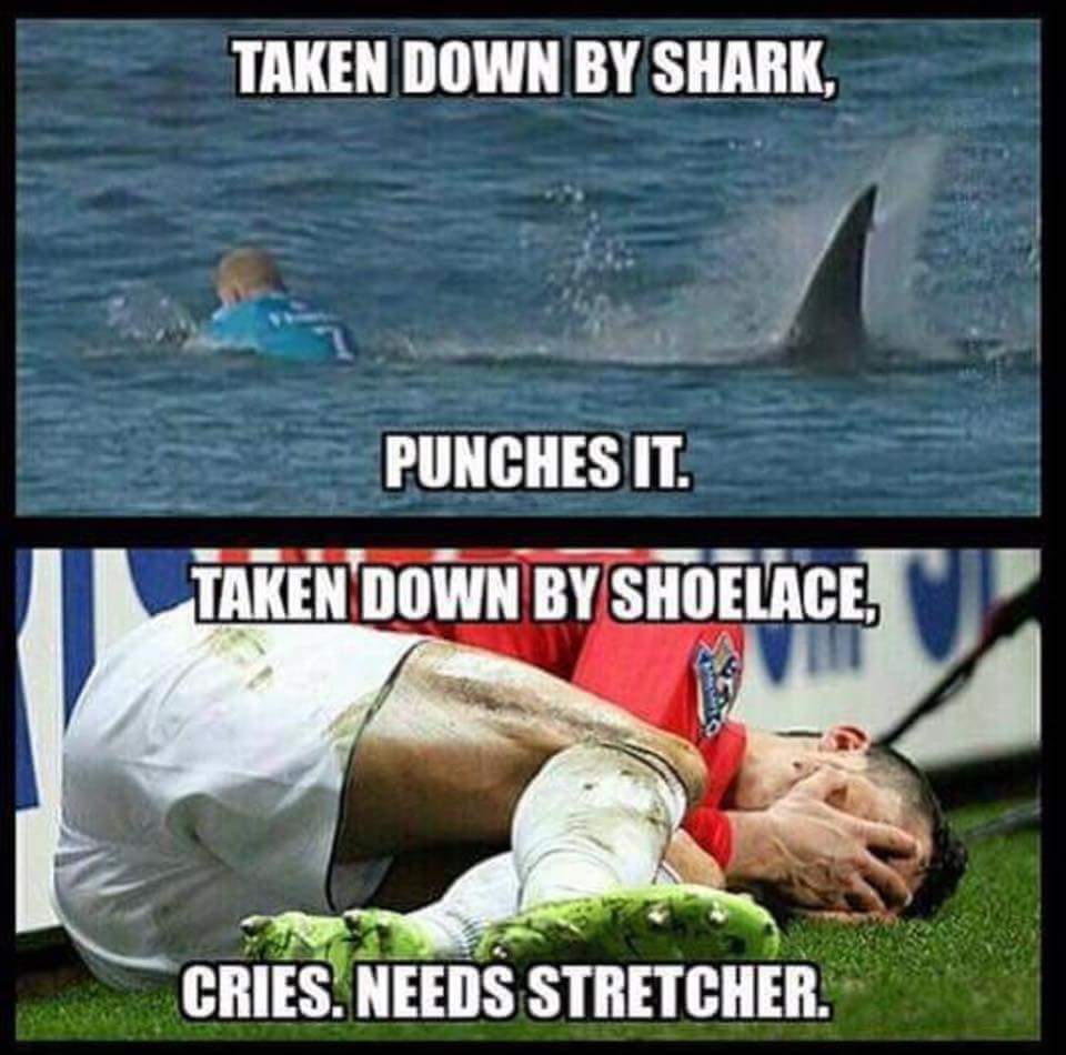 Mick Fanning's South African Shark Encounter: The Memes & Jokes - SA People
