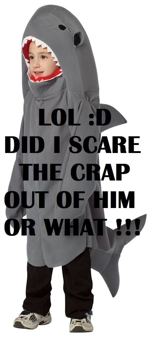 Mick Fanning's South African Shark Encounter: The Memes & Jokes - SA People