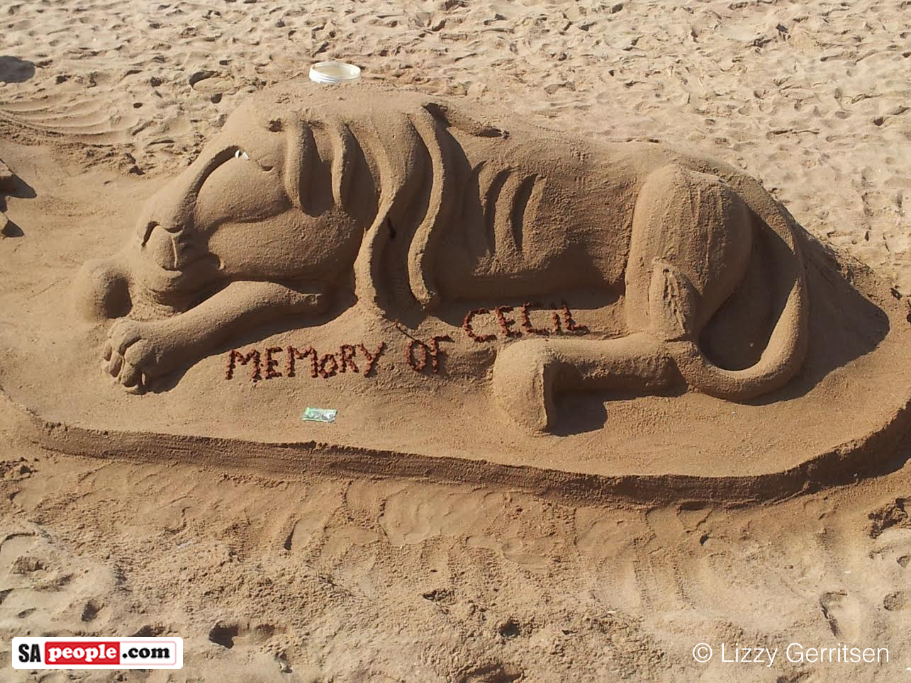 South African Sand Artists Raise Awareness About Our Wildlife - SA People