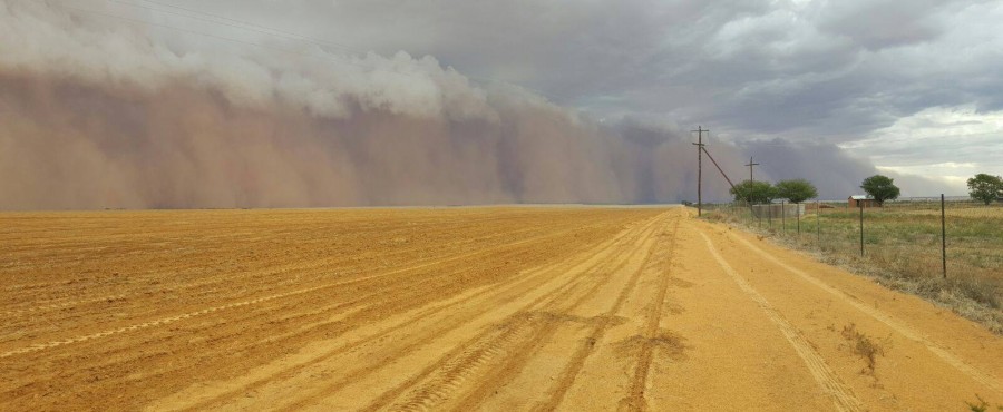 Incredible Photos & Videos of Hoopstad Sandstorm - SA People