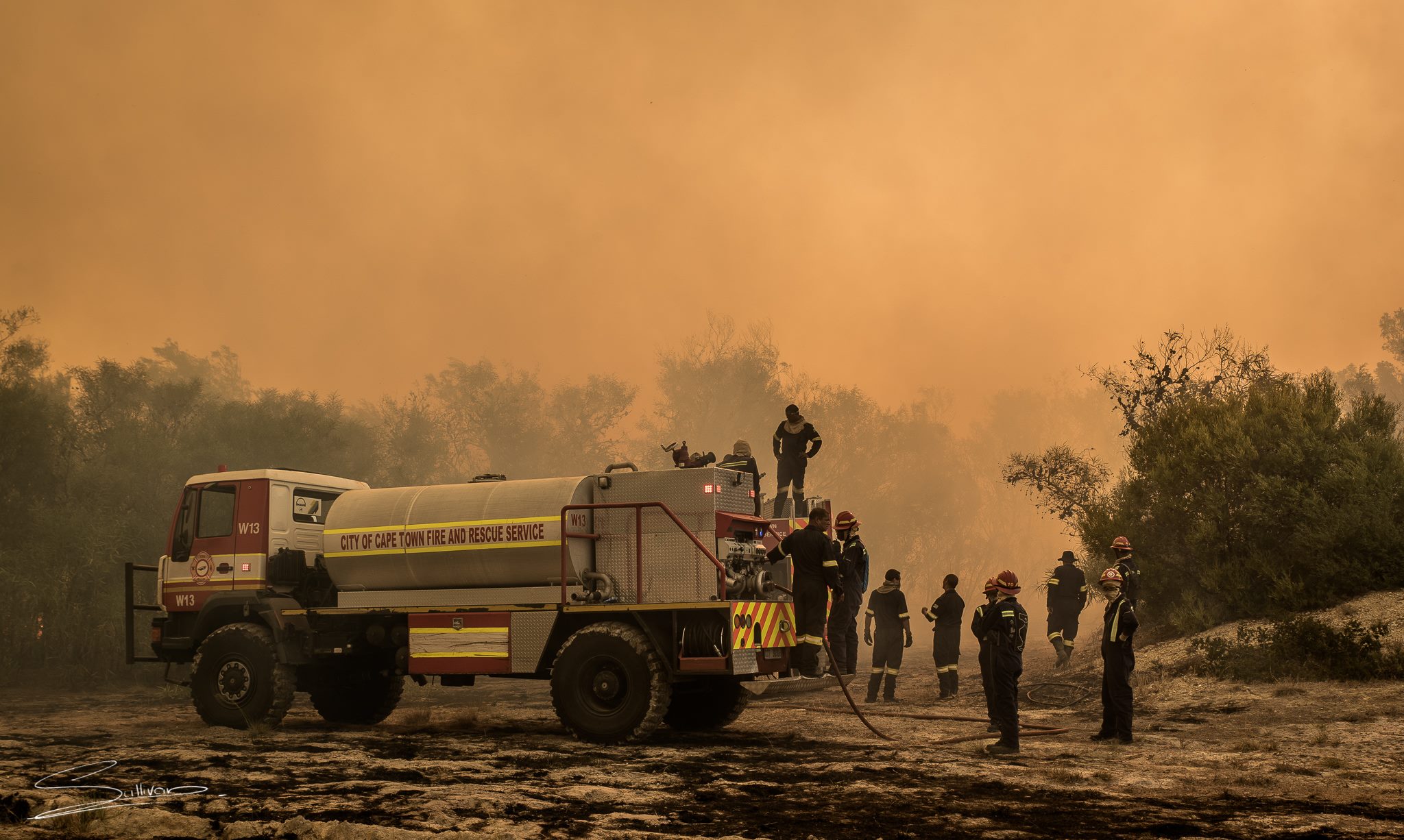 PHOTOS Capture Brave Efforts of Firefighting Crews (and Tortoise) at # ...