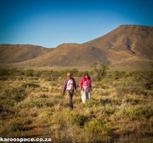 The Healing Powers of Karoo Herbs, Karoo Wisdom - SA People