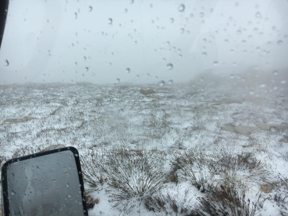 Snow Way! Snow Falls in the Western Cape over Easter - SA People
