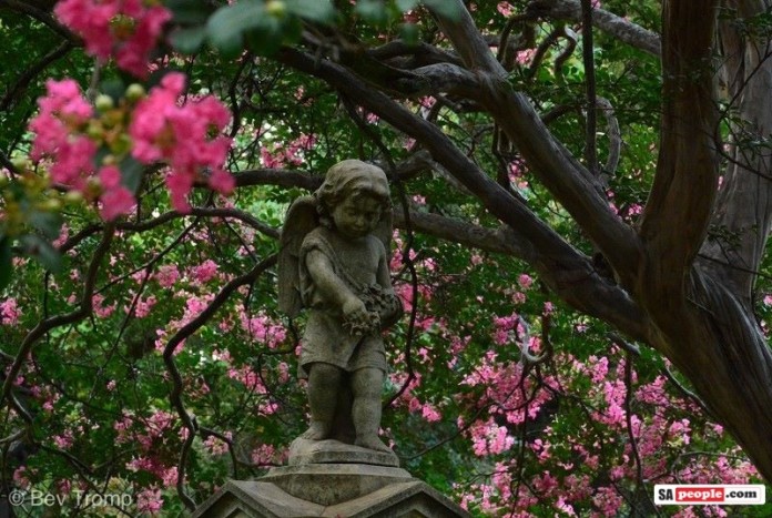 Pain and Passion. PHOTOS from Joburg's Oldest Public Cemetery... - SA ...