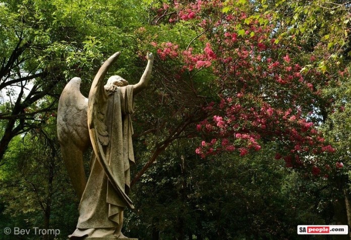 Pain and Passion. PHOTOS from Joburg's Oldest Public Cemetery... - SA ...