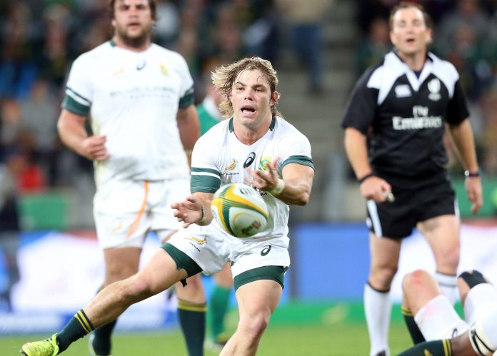 Faf Shines as Springboks Secure Series Win against Ireland - SA People
