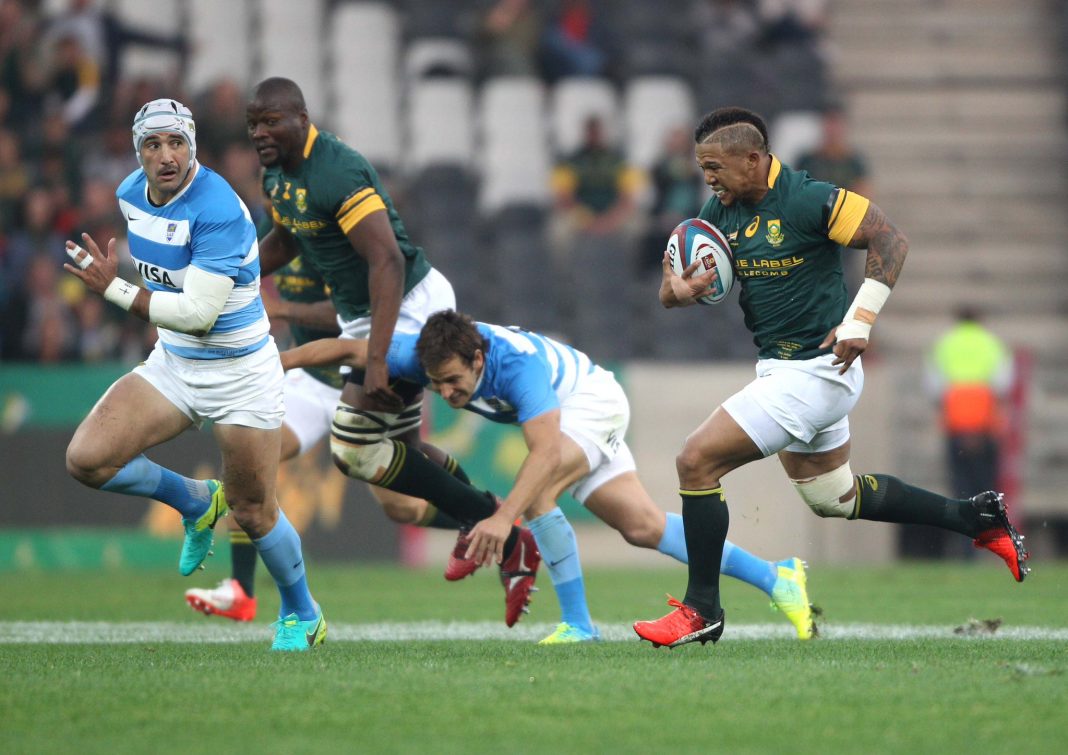 Phew! Springboks Fight Back to Victory Against Pumas - SA People