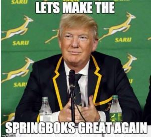 Springbok Jokes and Memes after Italy Beats South Africa - SA People
