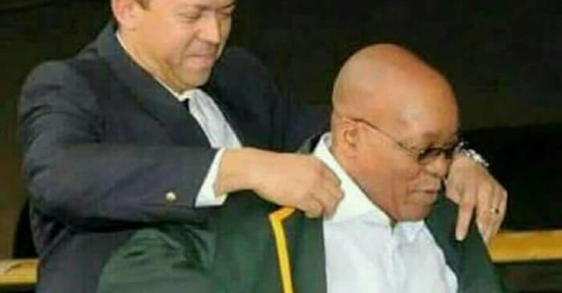 Springbok Jokes and Memes after Italy Beats South Africa - SA People