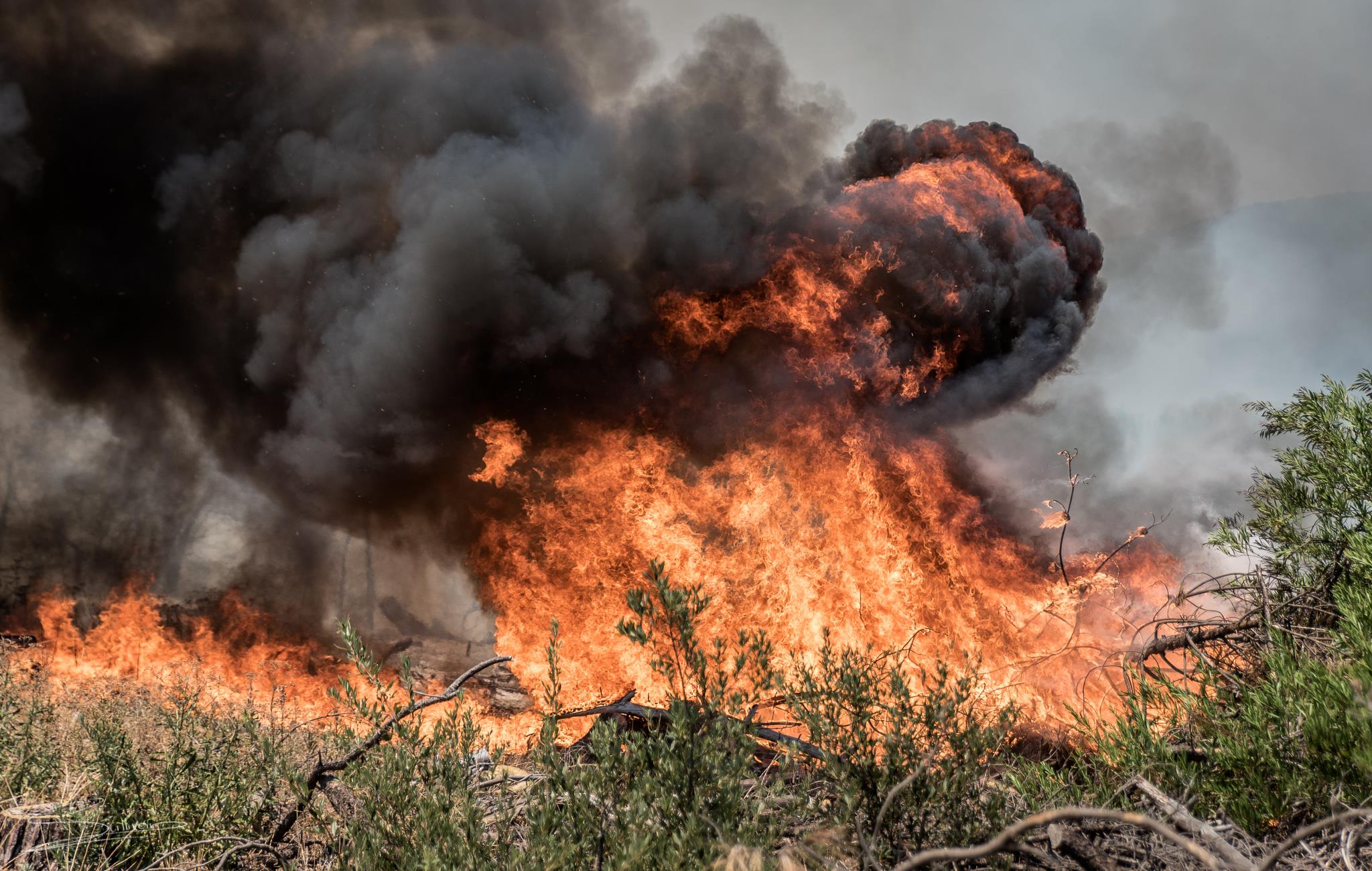 Photo Tribute to SA's Fire Fighting Heroes as Fire Season Starts Again ...