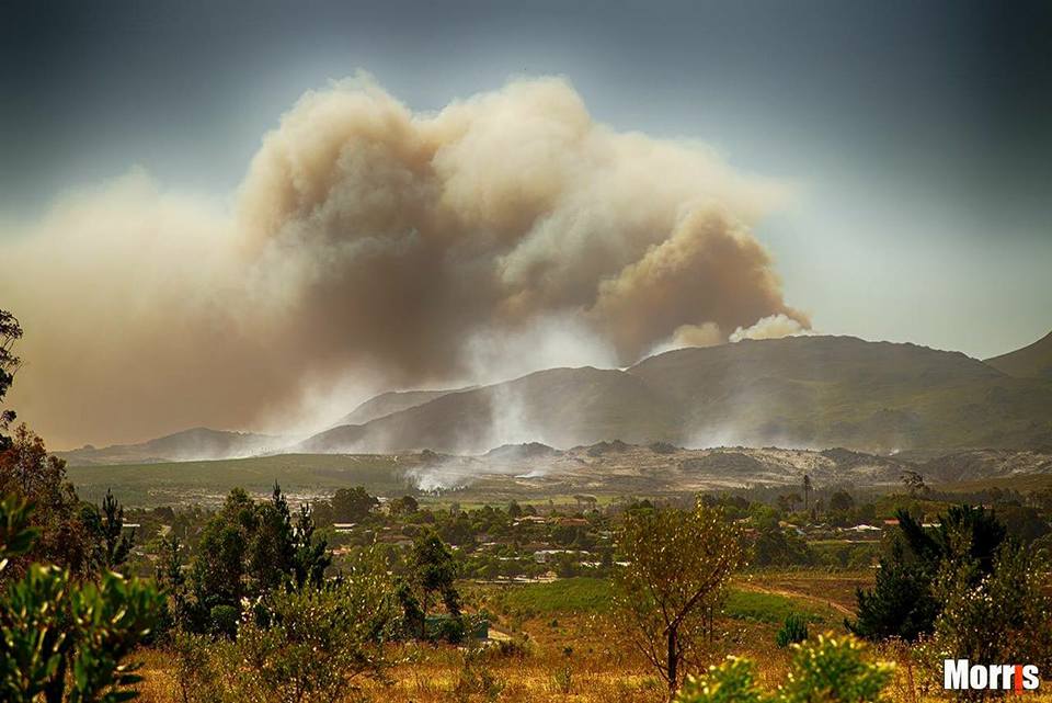 Eight Fires Spread Across the Western Cape Today as Winds Rage - SA People