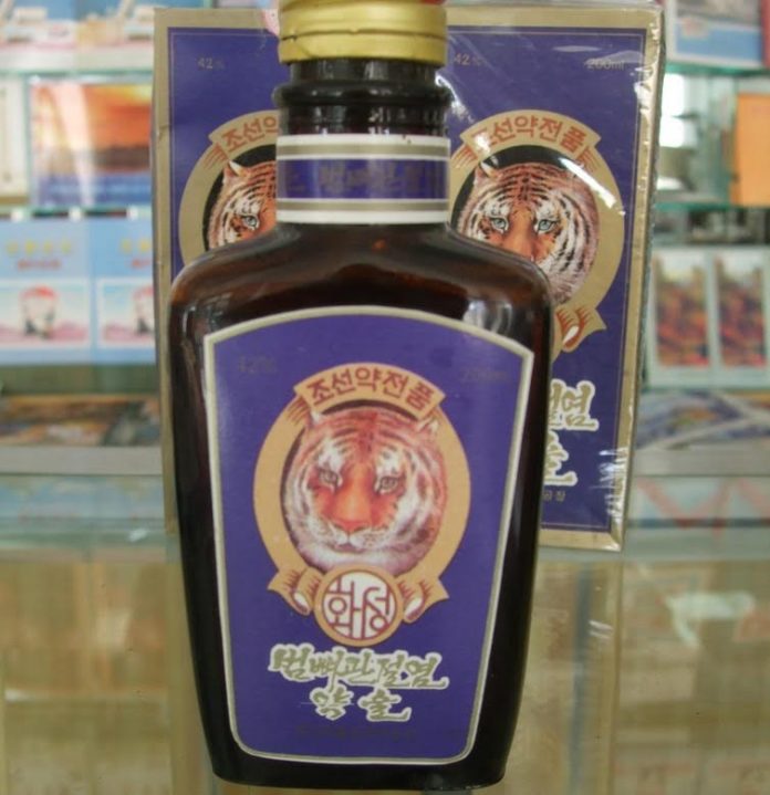 No Trust in South Africa's Lion Farming and Lion Bone Trade - SA People