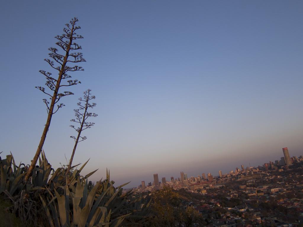 Amazing Places to View Joburg's Stunning Skyline - SA People