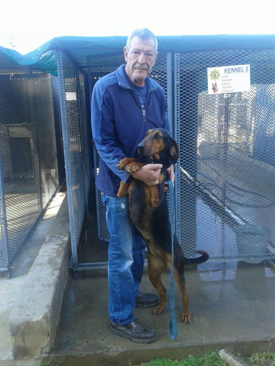SAPS Pays Tribute to Dog Handler After 43 Years of Excellent Service ...