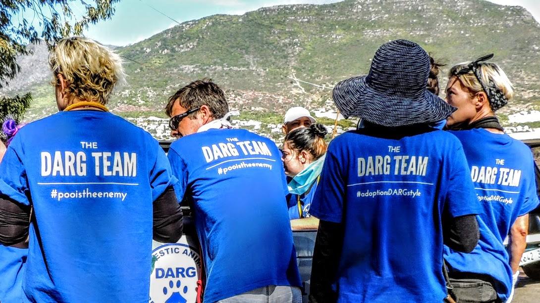 REUNITED: Rescued Dog from Fire Leaps with JOY into Owner's Arms - SA ...