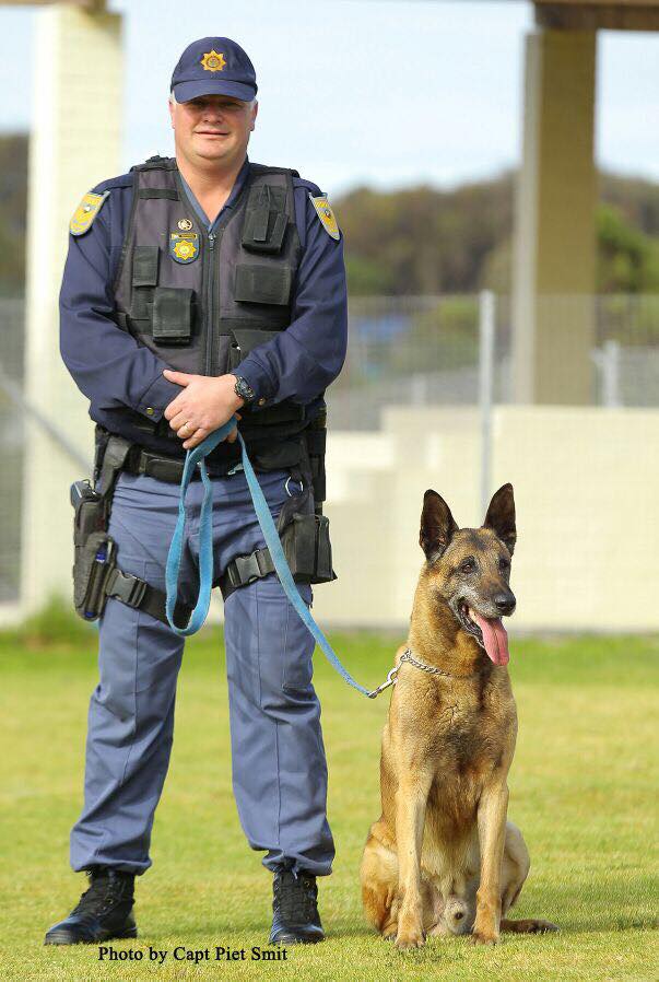 SA Police 'Paw Enforcement' Partner Retires - SA People