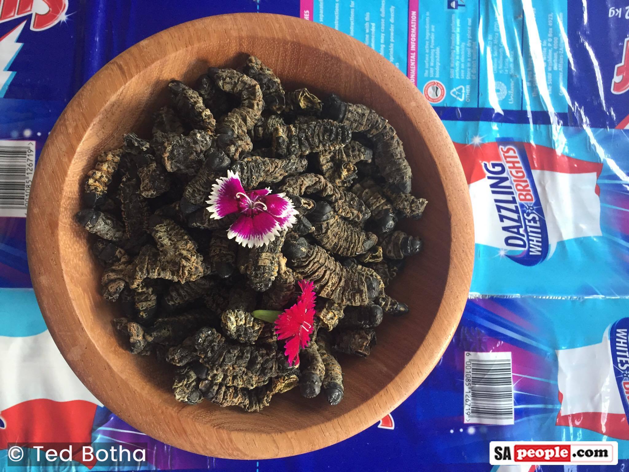 Mopani Worms and Insane Views at Iconic Ponte Restaurant Launch - SA People