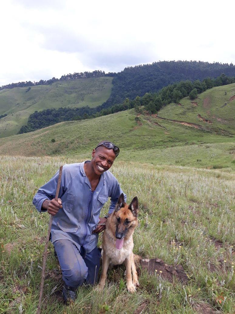 Missing Search and Rescue K9 Dog Found Thanks to Teamwork - SA People