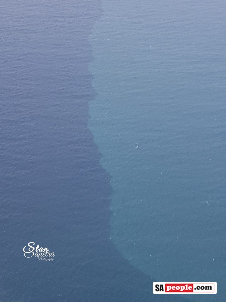 What Causes The False Bay Colour Front? - SA People