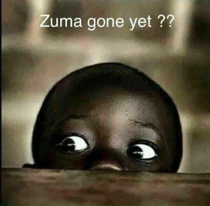 Jacob Zuma Resignation Jokes and Memes - SA People