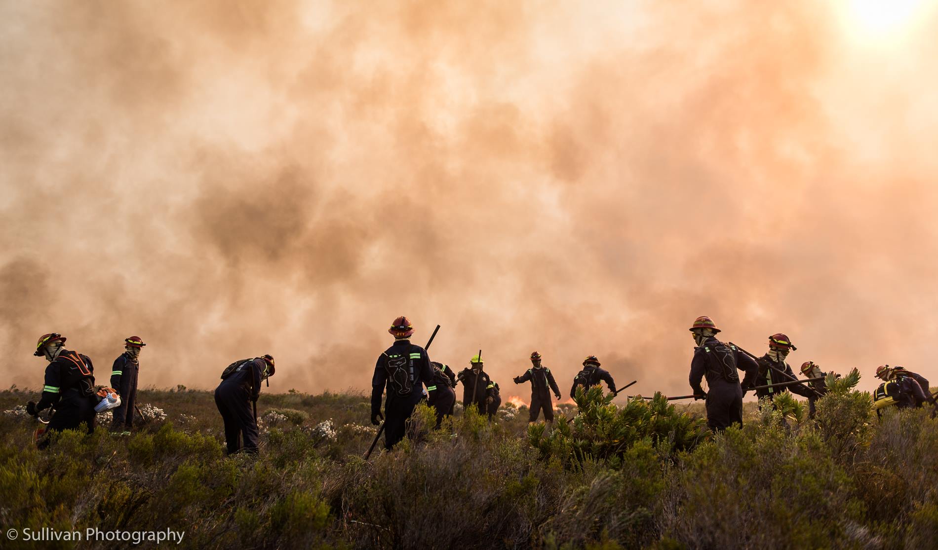 PHOTOS Cape Point Fire, South Africa - SA People