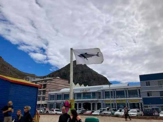 WATCH Muizenberg Surfers Exit The Ocean As Sharks 'Come to Play' - SA ...