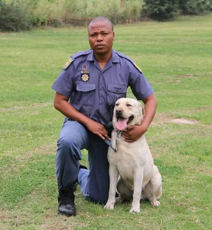South Africans Pray for Amazing K9 Police Officer, in ICU - SA People