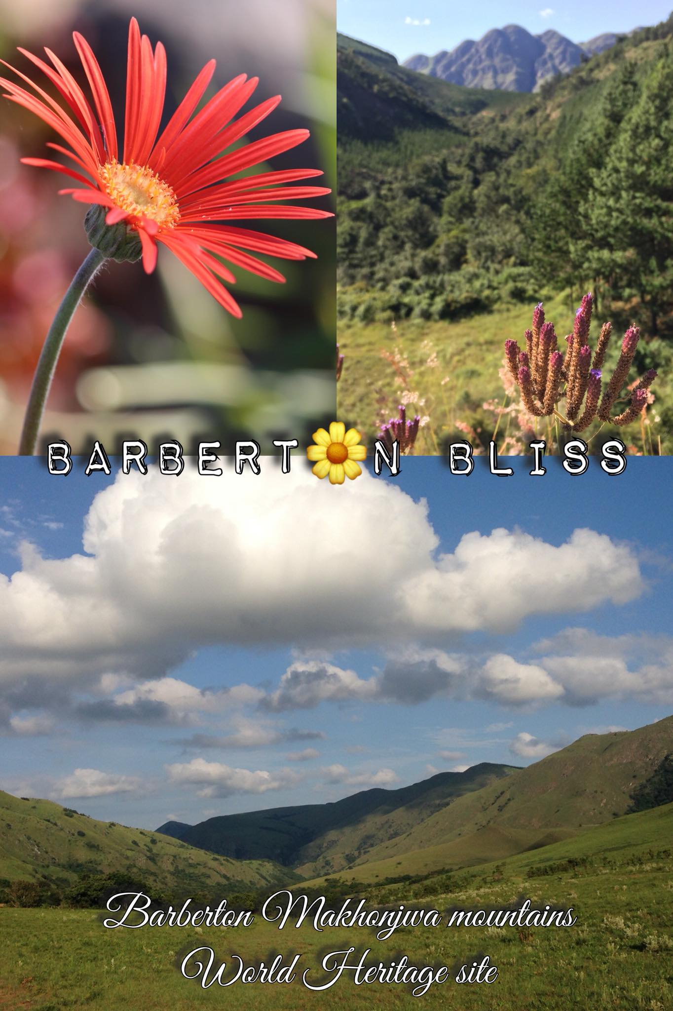 Barberton Makhonjwa Mountains Named World Heritage Site! - SA People