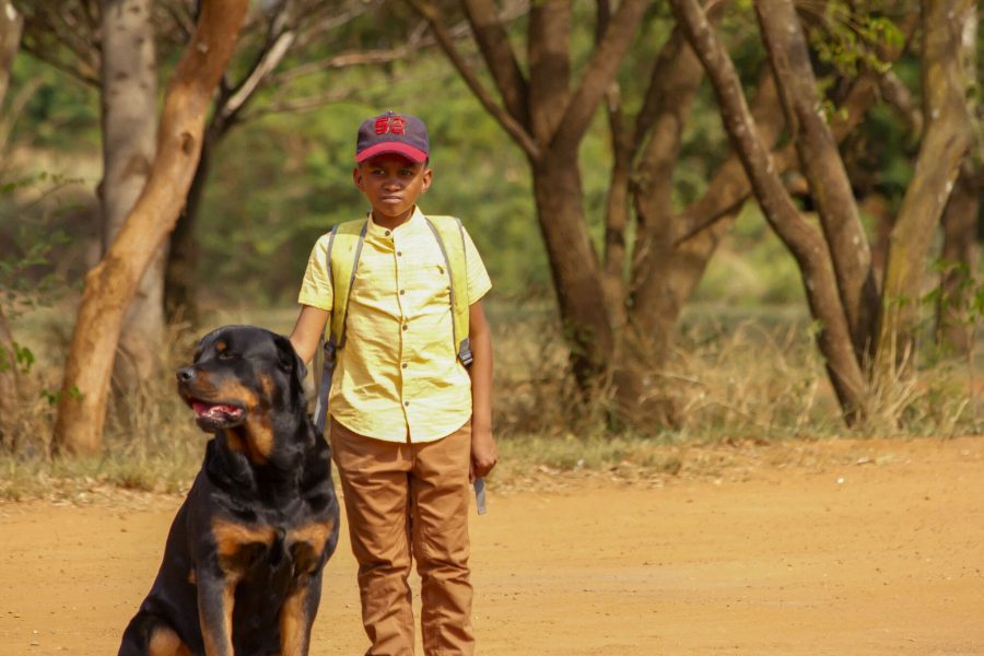 WATCH Trailer: First Peek at the New Leon Schuster Film - SA People