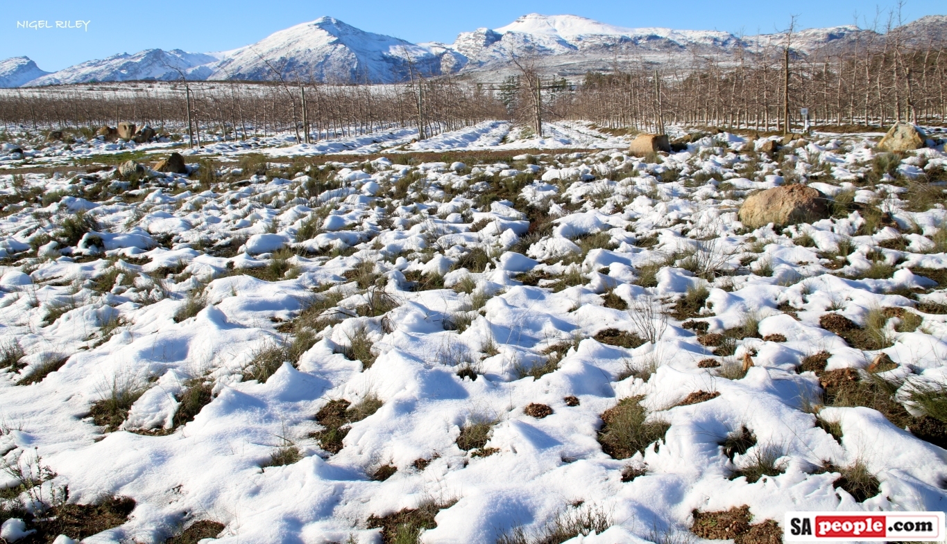 Magical Photos of Snowcapped Matroosberg Mountains in Ceres, South ...