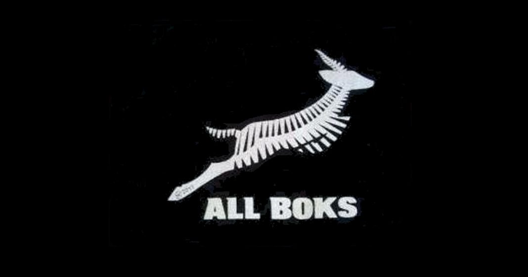 Springboks Beat All Blacks in New Zealand - Jokes, Memes and Viral ...
