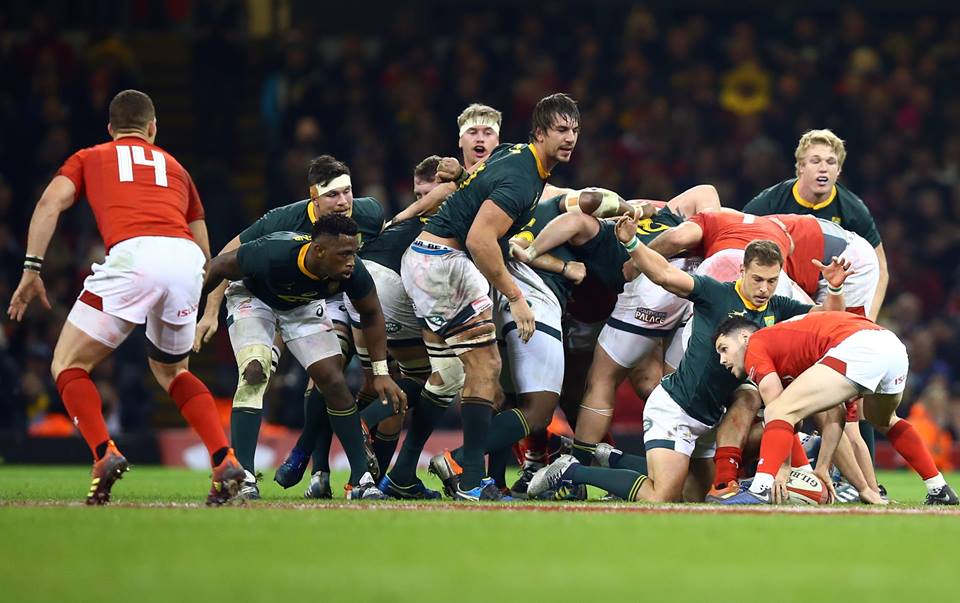 Springboks Finish European Tour with a Disappointing Loss - SA People