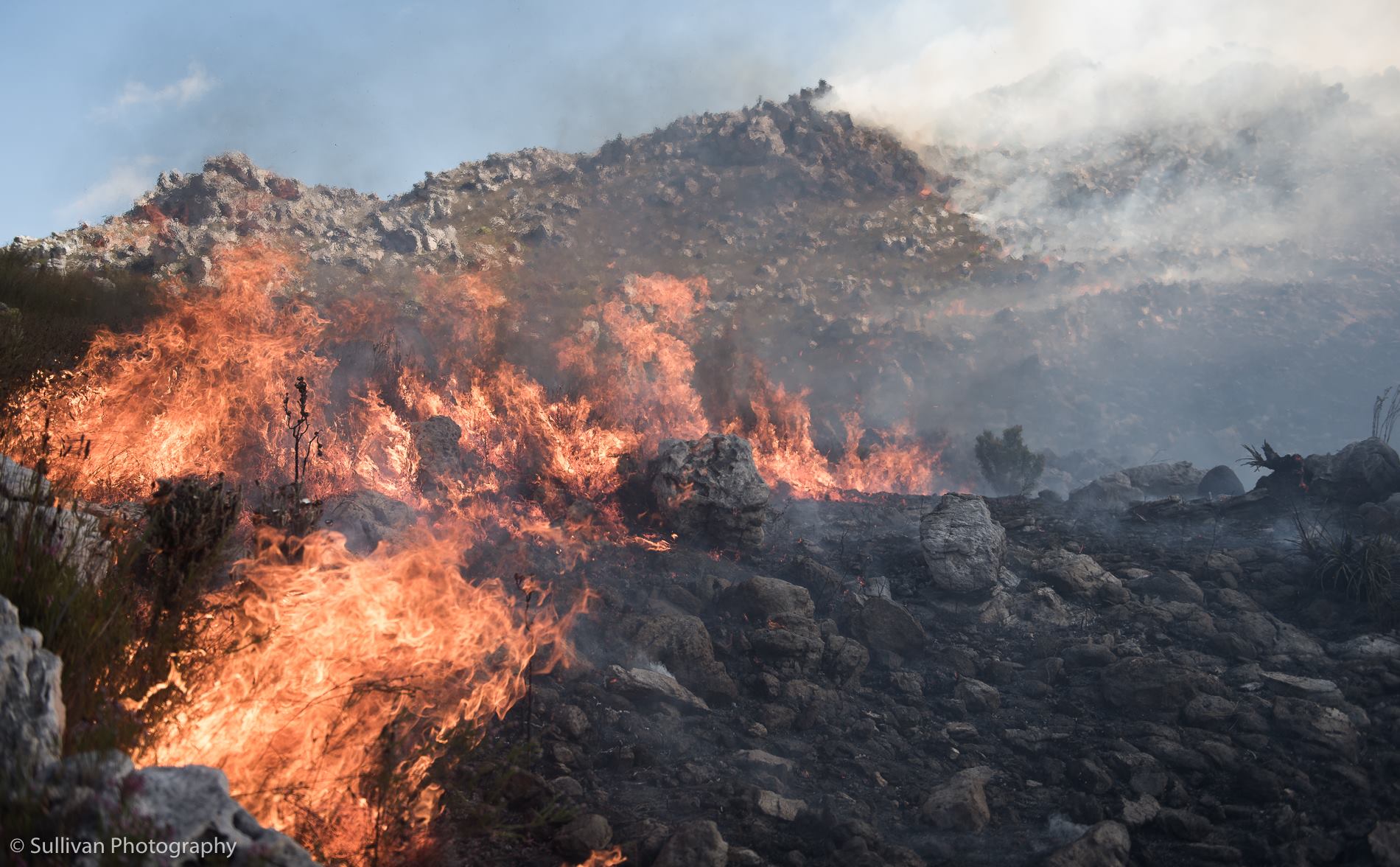Riveting Photos of Betty's Bay Fire by Award-Winning Photographer ...