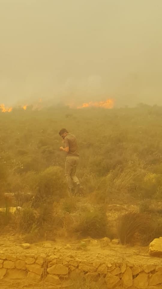 Young Hero Saves 33 Tortoises in Hermanus Fire - SA People