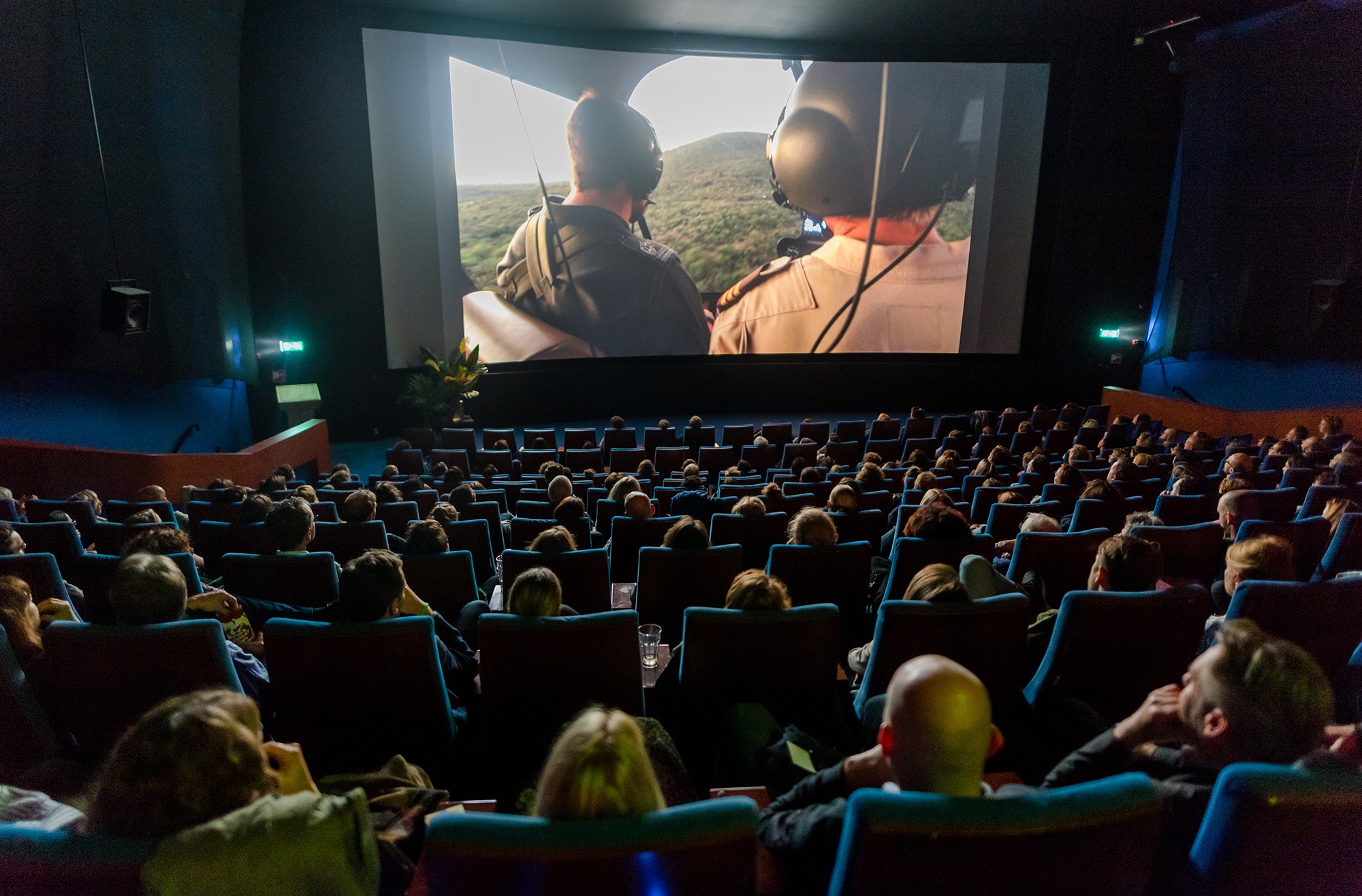 SA's Award-Winning Rhino Doc Soon Available For ALL To Watch - SA People