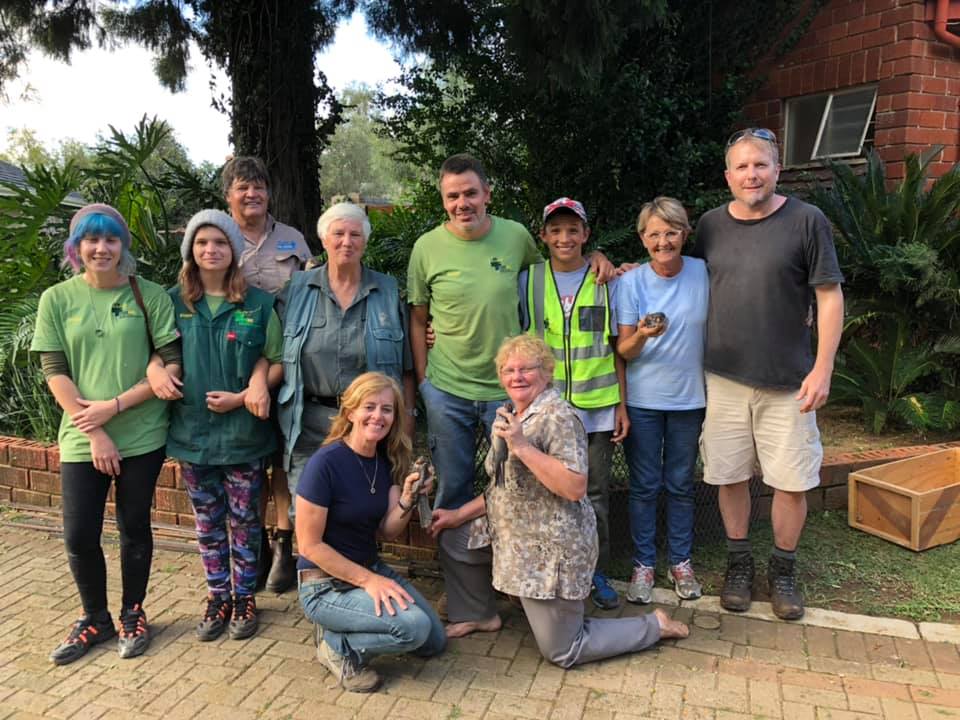 FALCON UPDATE: Hail Killed Over 2,000 Birds BUT Almost 900 Rescued in ...