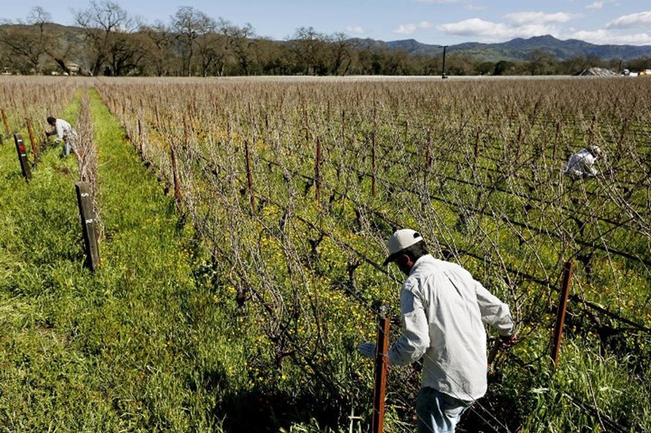 Historic Handover of Land Title Deeds in Western Cape - SA People