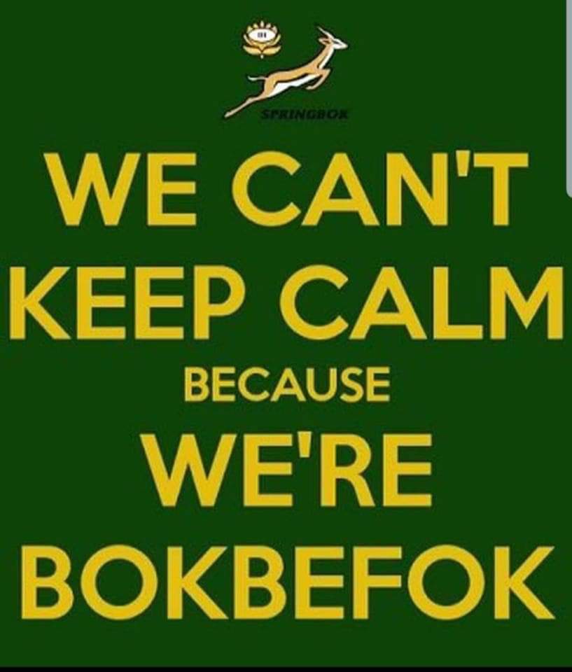 Springbok and Rugby World Cup 2019 Jokes and Memes - SA People