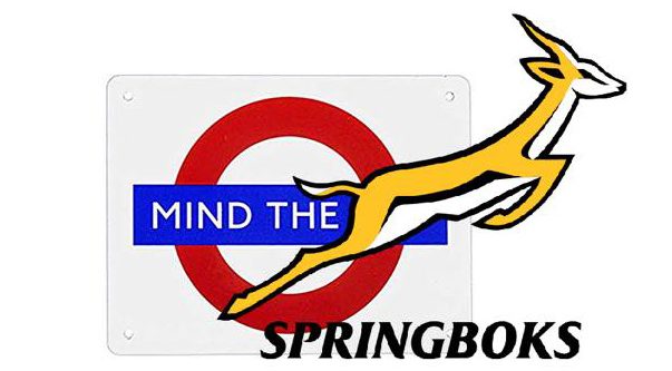 Springbok and Rugby World Cup 2019 Jokes and Memes - SA People