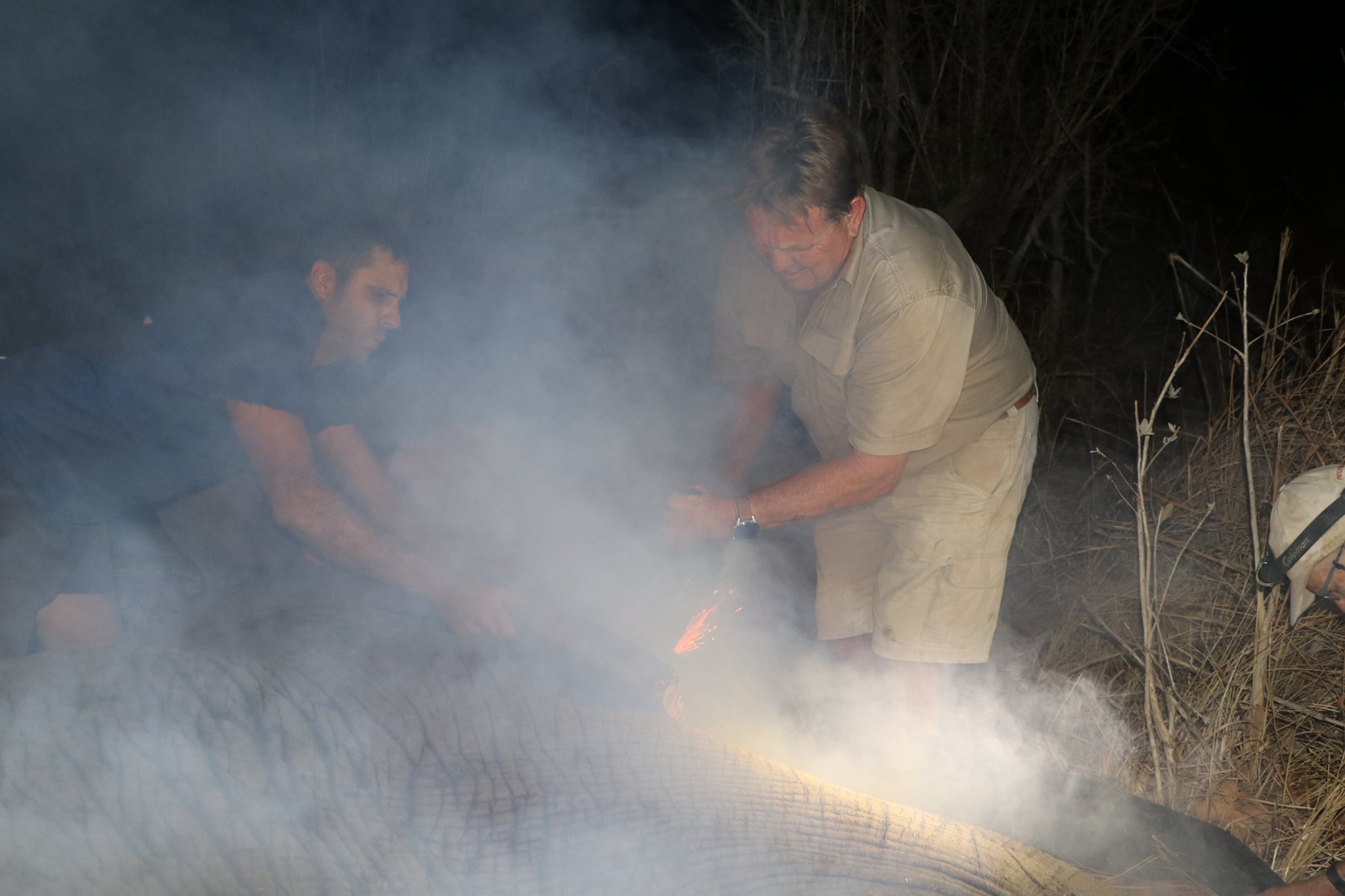 Amazing Rescue of Elephant With Tyre Round Its Neck in Award-Winning ...