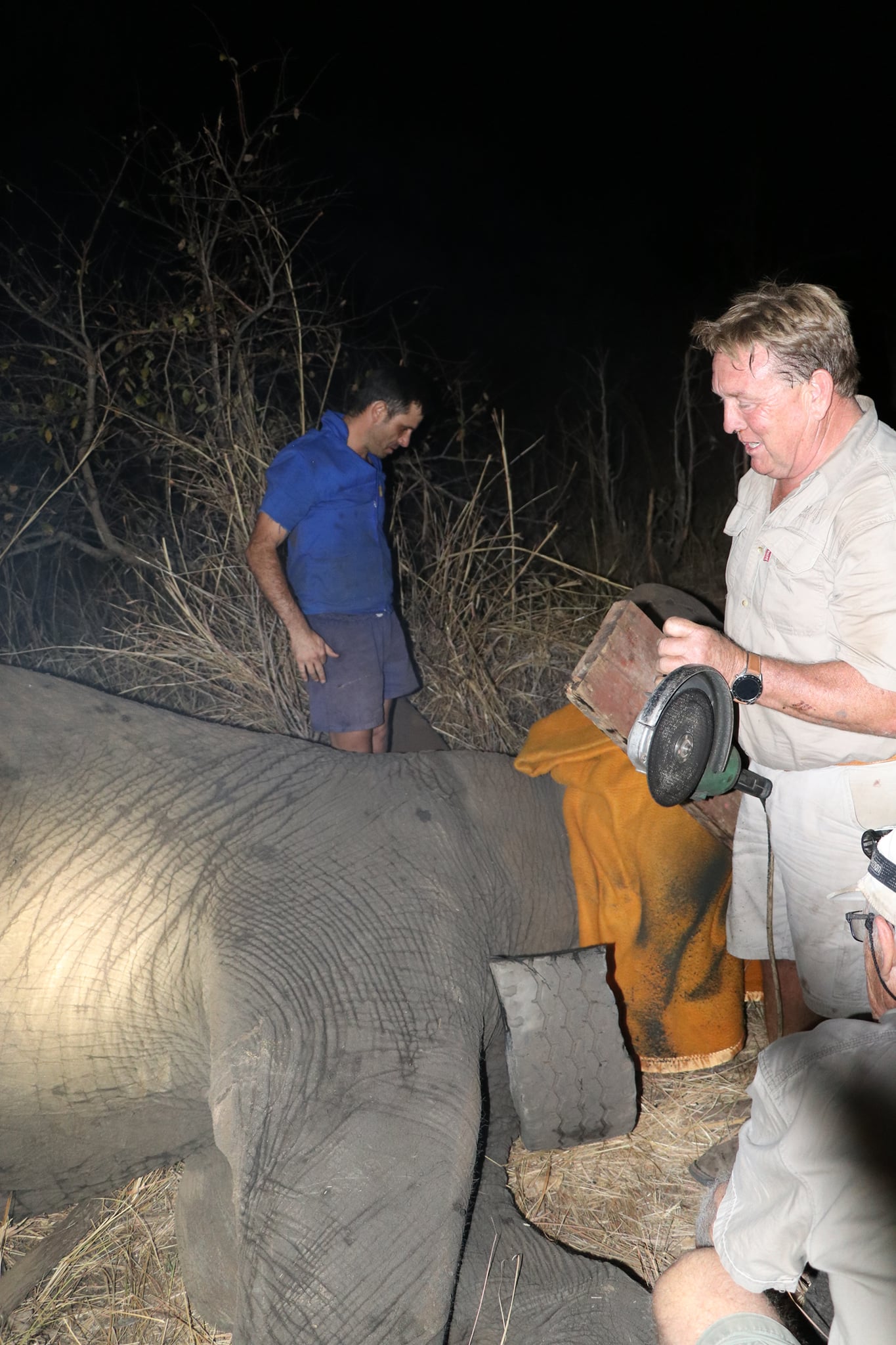 Amazing Rescue of Elephant With Tyre Round Its Neck in Award-Winning ...