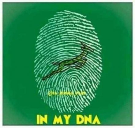 Springbok and Rugby World Cup 2019 Jokes and Memes - SA People