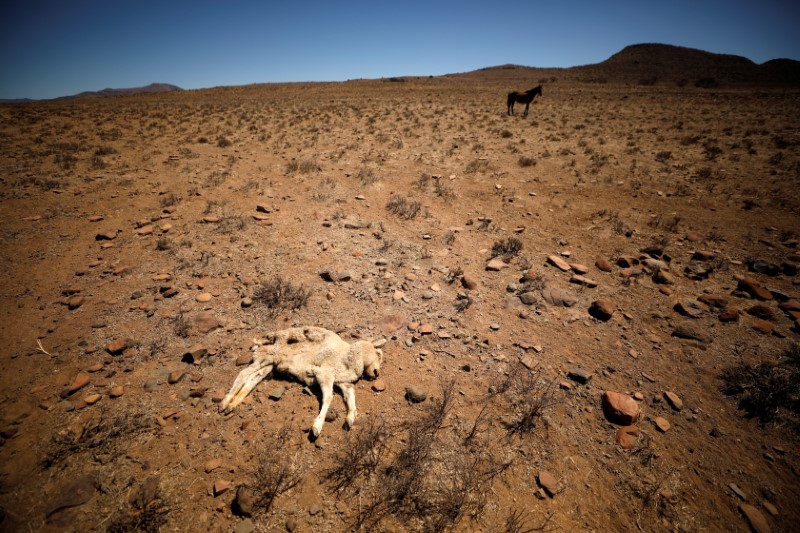 Ongoing Drought a Priority for South African Government - SA People