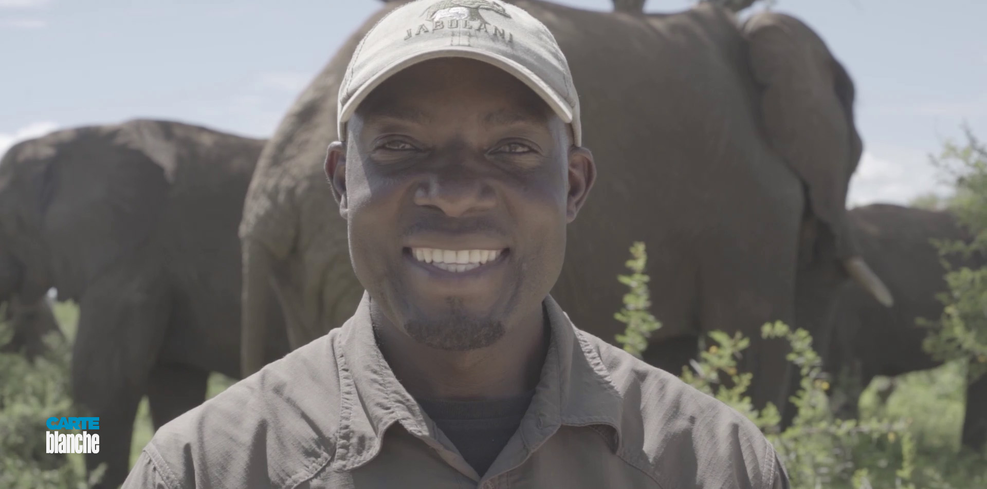 Carte Blanche: Wildlife Heroes Saving Rare Albino Baby Elephant Hurt by ...