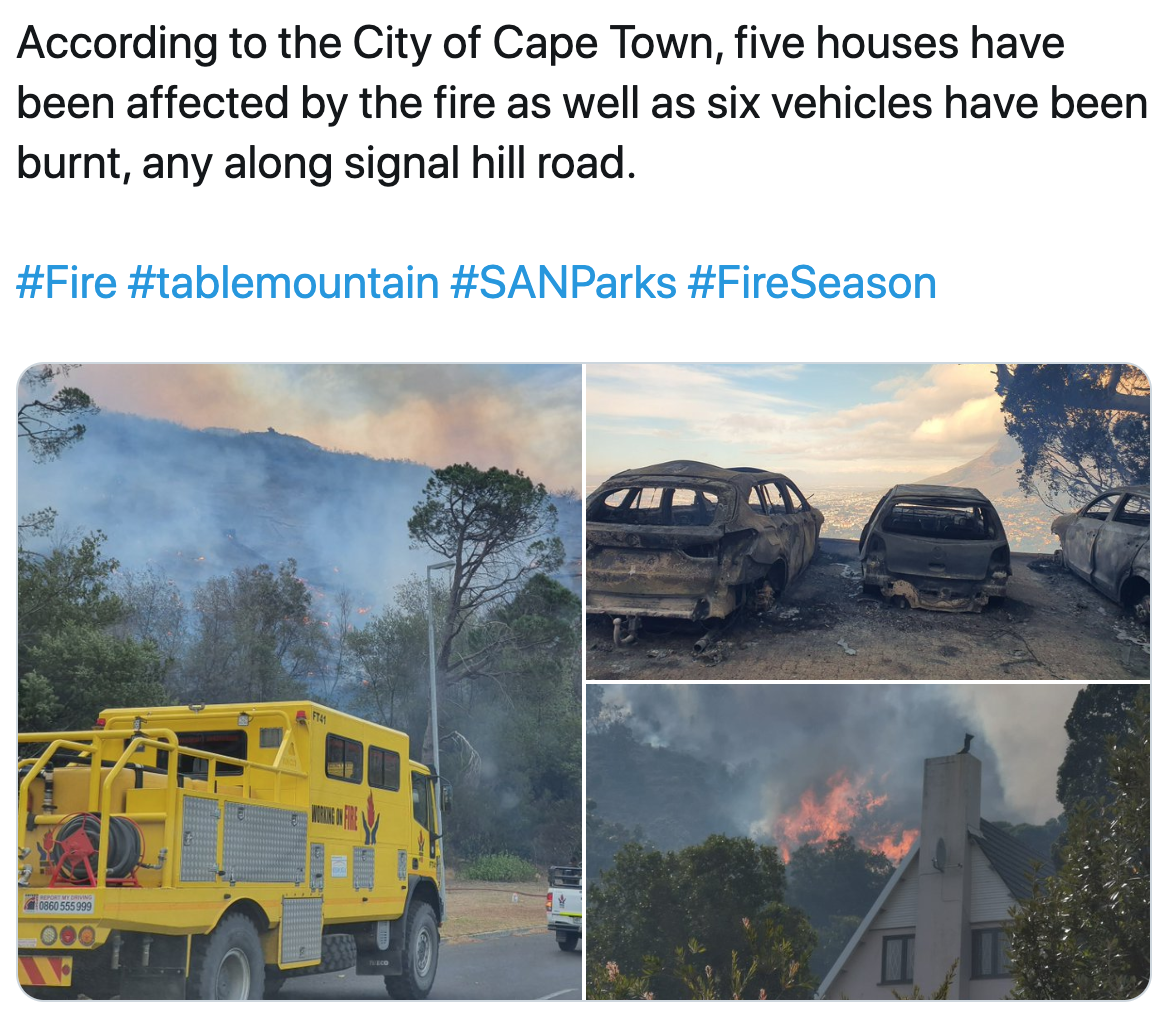 Arson Suspected as Table Mountain National Park Fire Contained After ...
