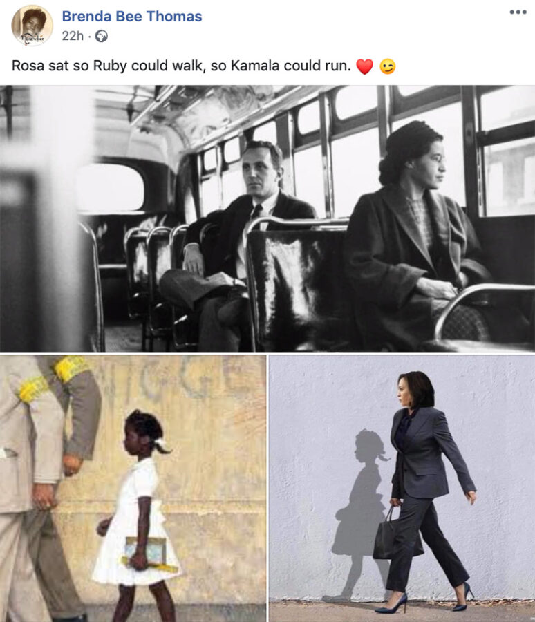 Story Behind Viral Photo of Kamala Harris and Shadow - SA People