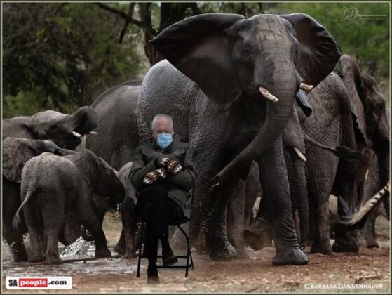 Bernie Sanders Memes With A South African Twist - SA People