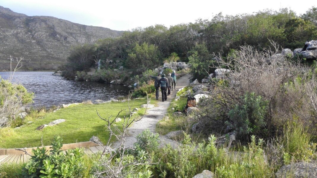 UPDATE: 26-Year-Old's Body Retrieved from Silvermine Dam in Table ...
